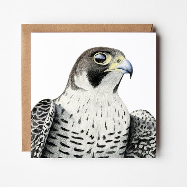 Peregrine Falcon - Etsy