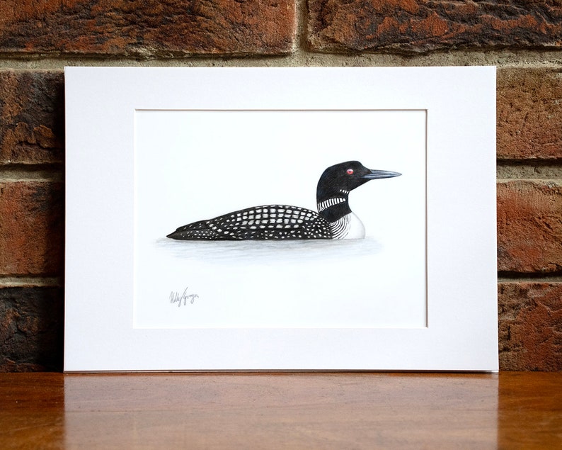 Great Northern Diver - Original Coloured Pencil Drawing - Common Loon ...