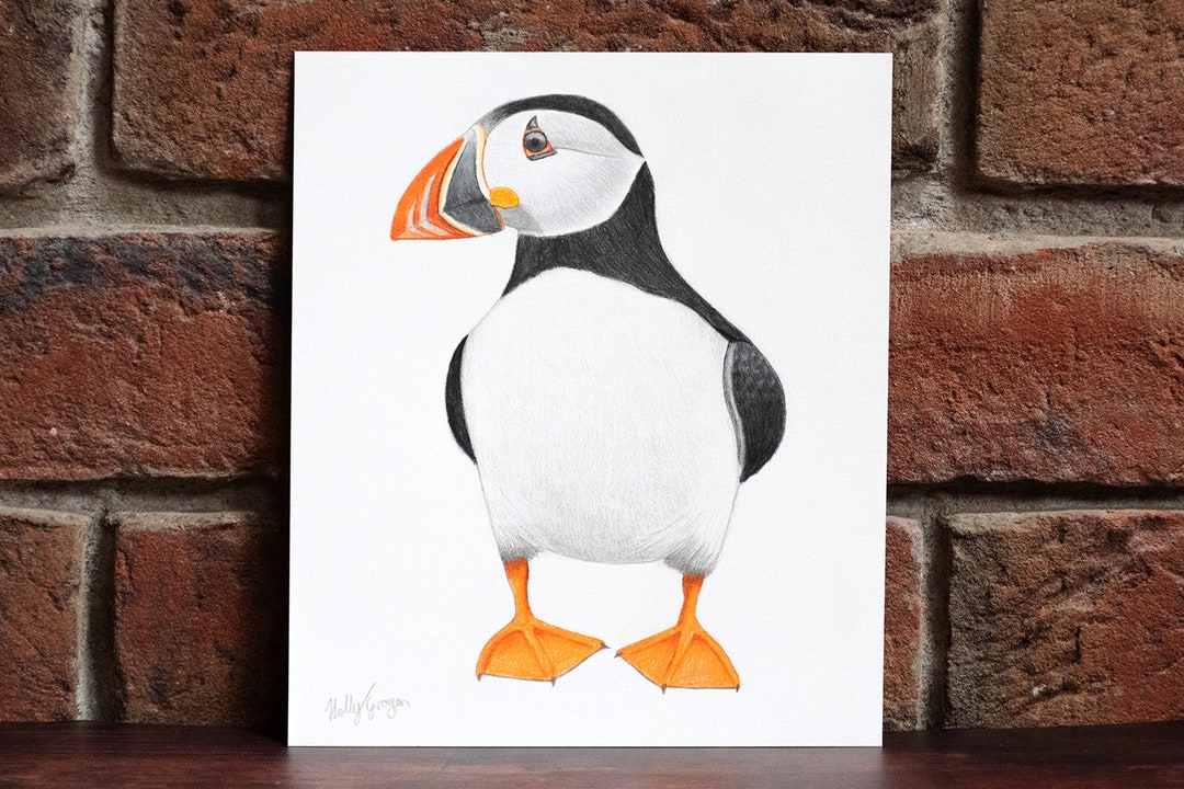 Puffin - Original Coloured Pencil Drawing - 6 X 7 Inches - Etsy