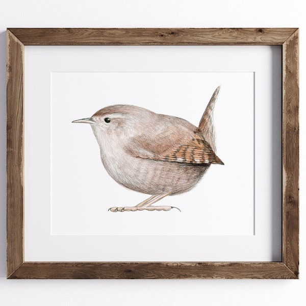 Wren Art Print - Etsy