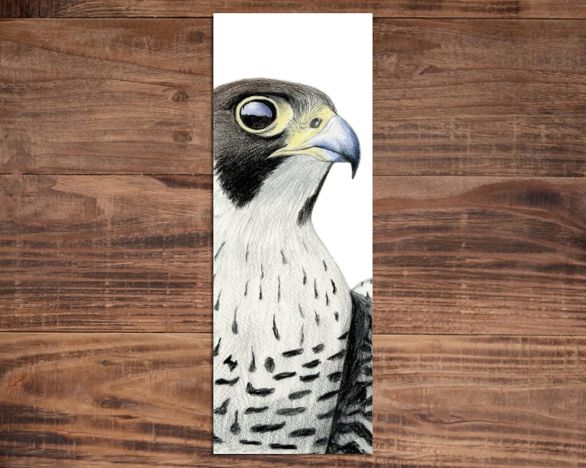 Peregrine Falcon Bookmark - Bird of Prey Bookmark - Bird Lover Gift - Etsy