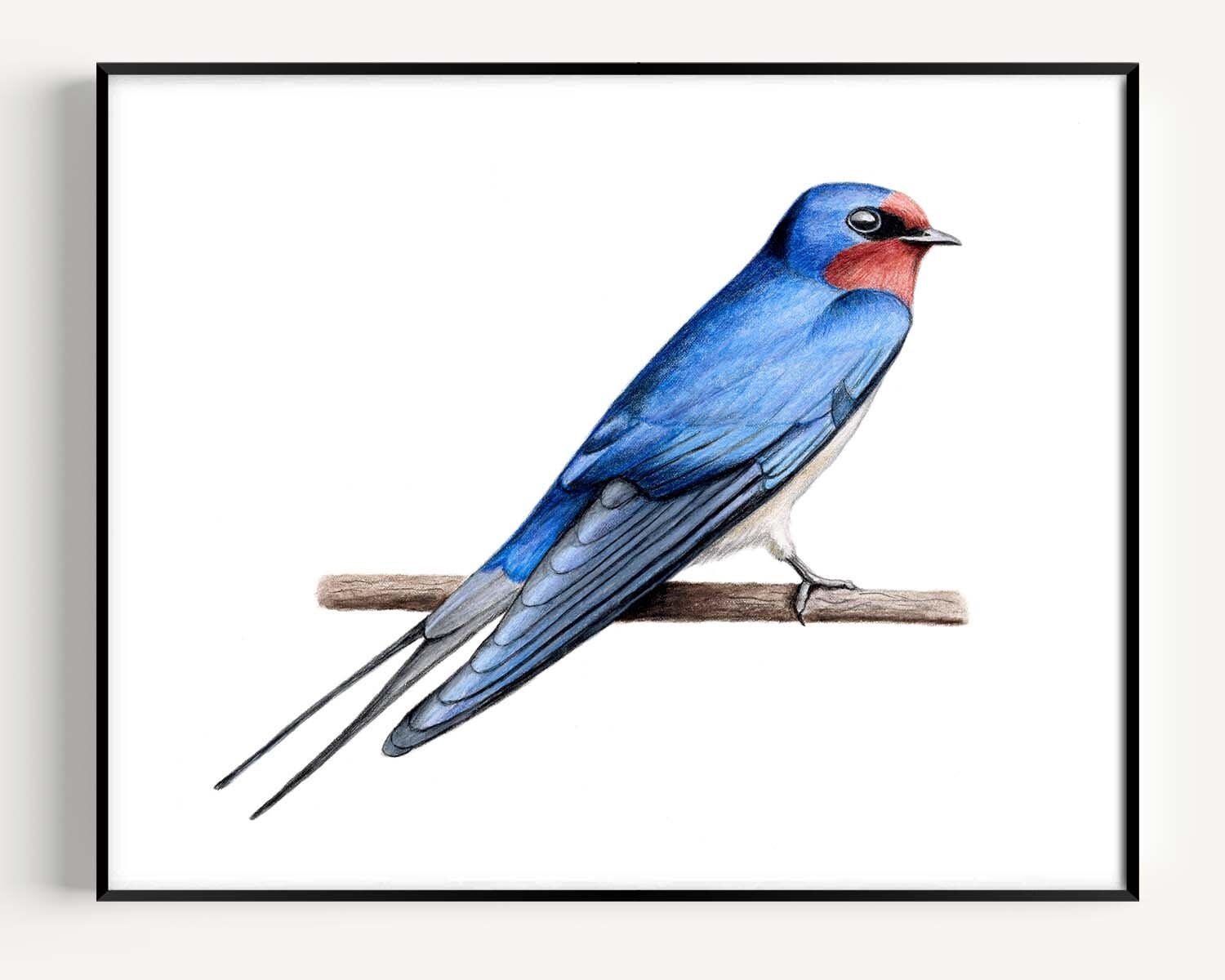 Swallow Print Bird Print Wildlife Art Print - Etsy