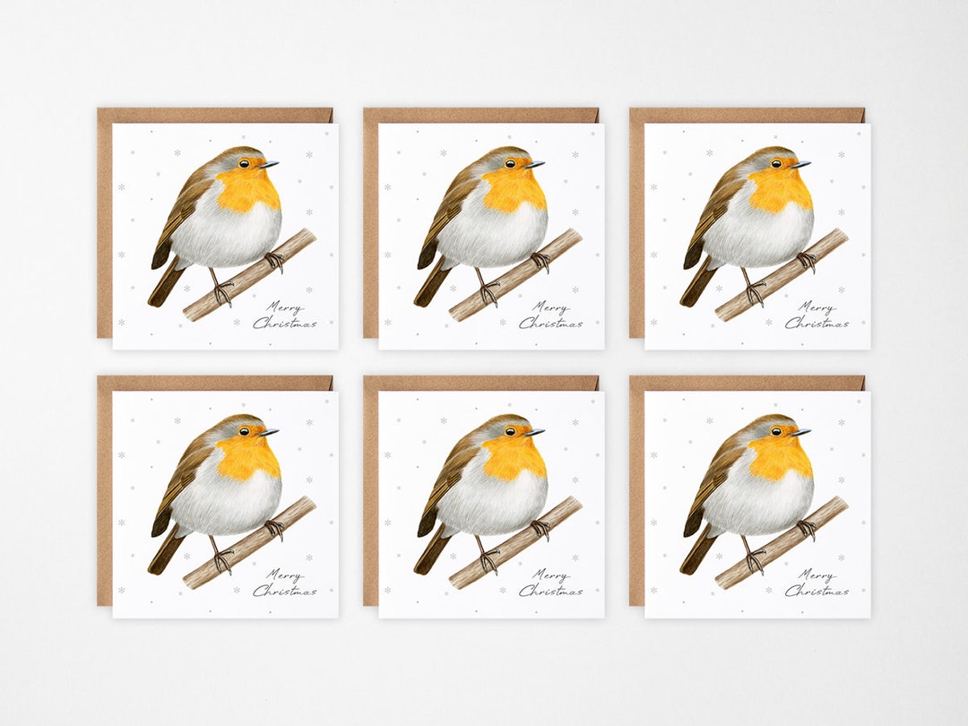 Robin Christmas Cards Set of 6 Bird Art Handmade Cards - Etsy