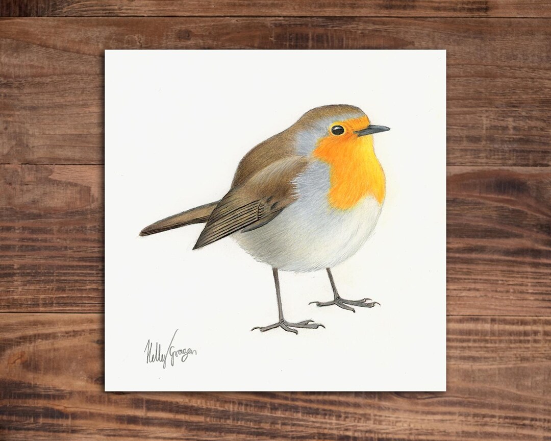 Robin - Original Coloured Pencil Drawing - 14 X 14 Cm - Etsy