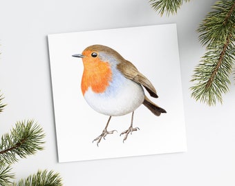 Robin Fine-art Photo Greeting Card Robin and Bird Photography - Etsy