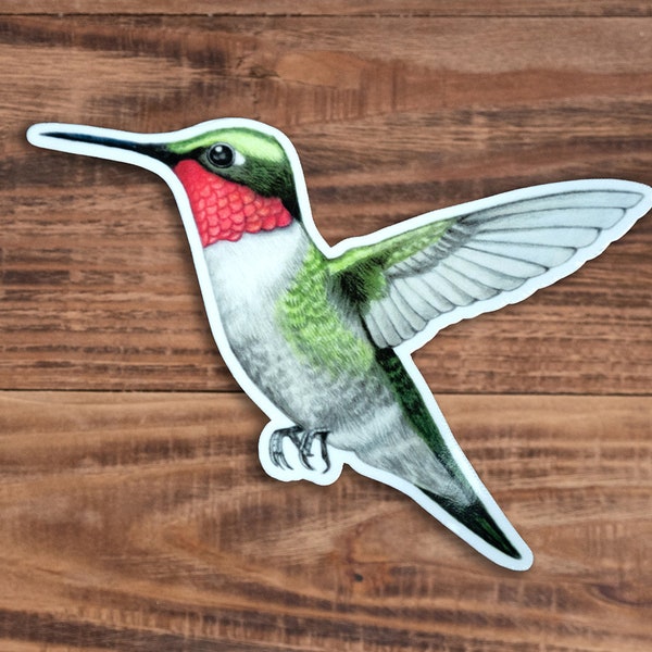 Hummingbird Sticker - Etsy