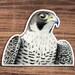 Peregrine Falcon Sticker Glossy Vinyl Bird of Prey Sticker - Etsy