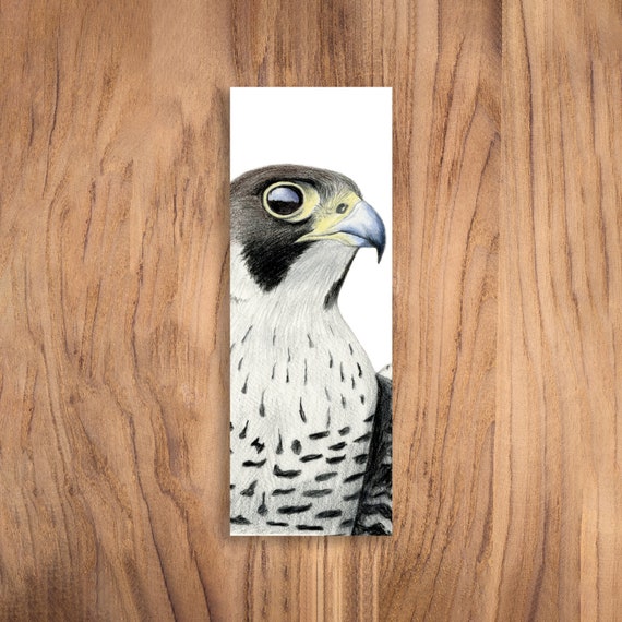 Peregrine Falcon Bookmark Bird of Prey Bookmark Bird Lover | Etsy