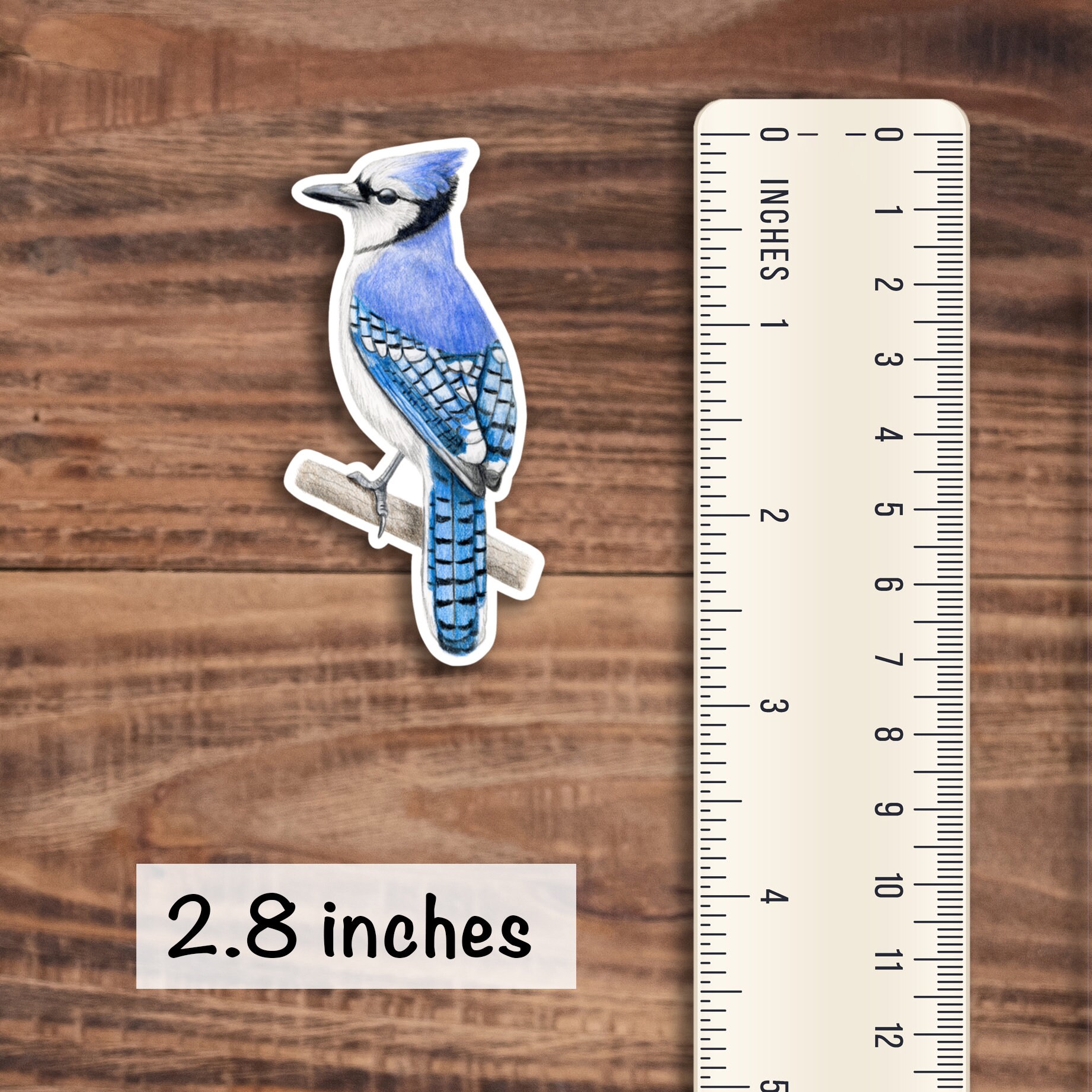 Blue Jay Sticker Glossy Vinyl Bird Sticker - Etsy