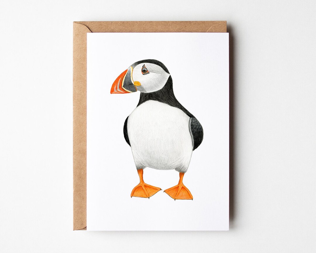 Puffin Greeting Card - Bird Card - A6 - Etsy