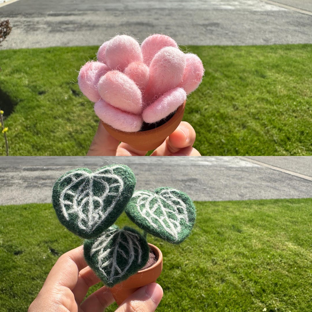 Felted Cute Plants (12CAD for One and 20 for Two) - Etsy