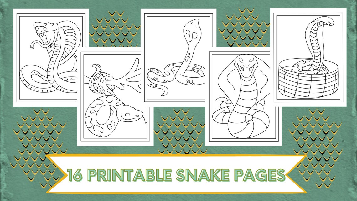 16 Printable Snake Coloring Pages - Etsy Canada