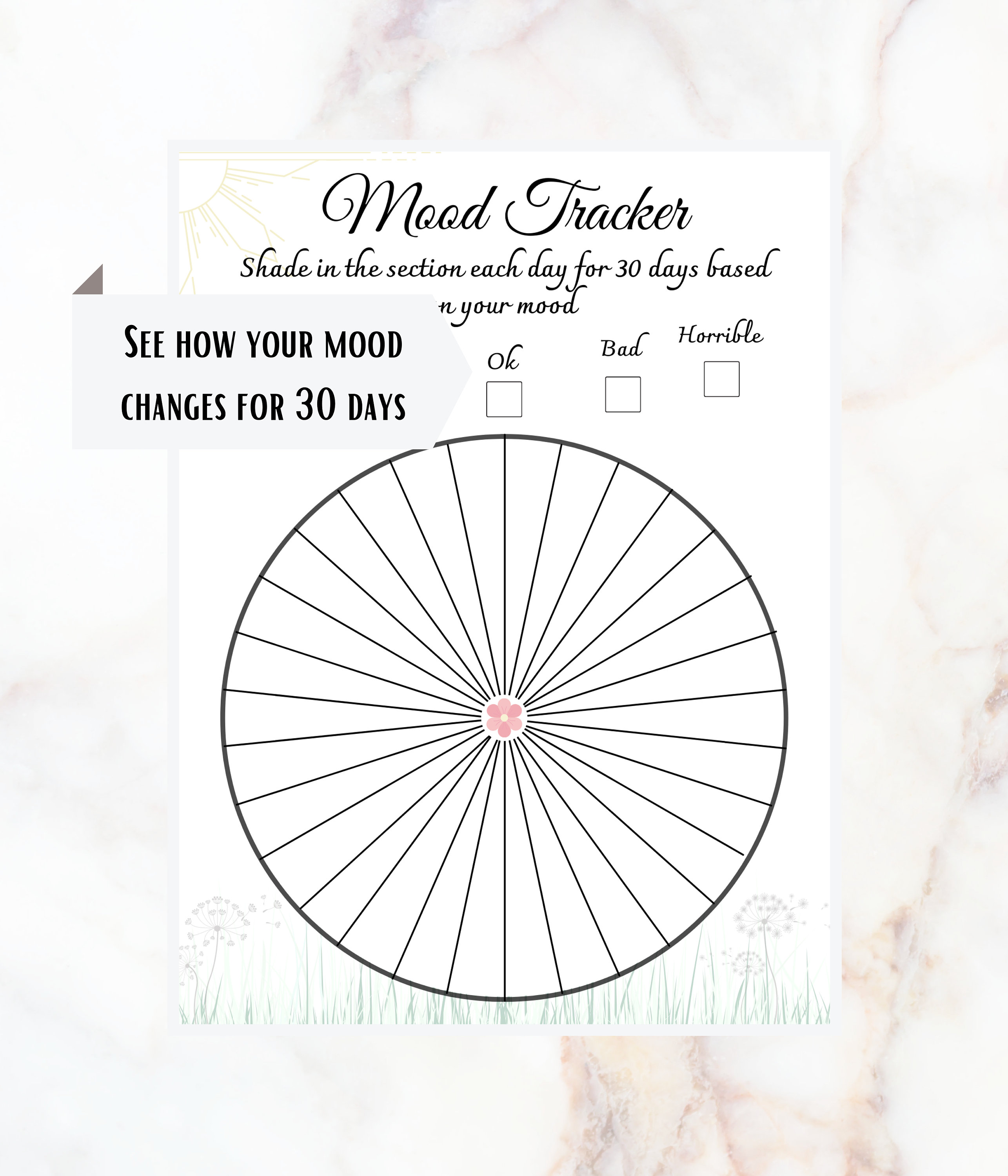 Mood Tracker, Basic, (monthly Mood Wheel) - Etsy