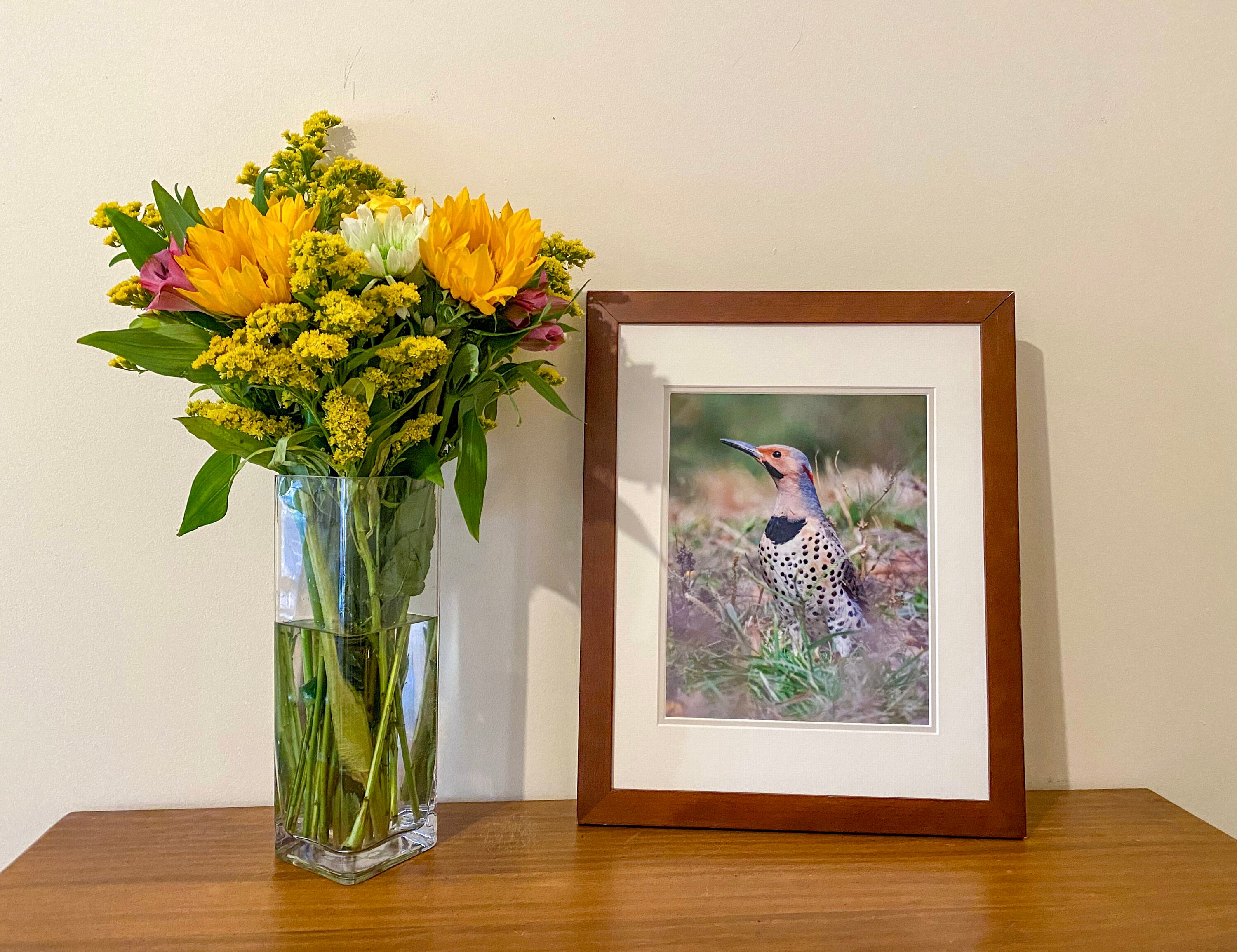 Northern Flicker Photograph - Woodpecker Photograph - Flicker - Gifts ...