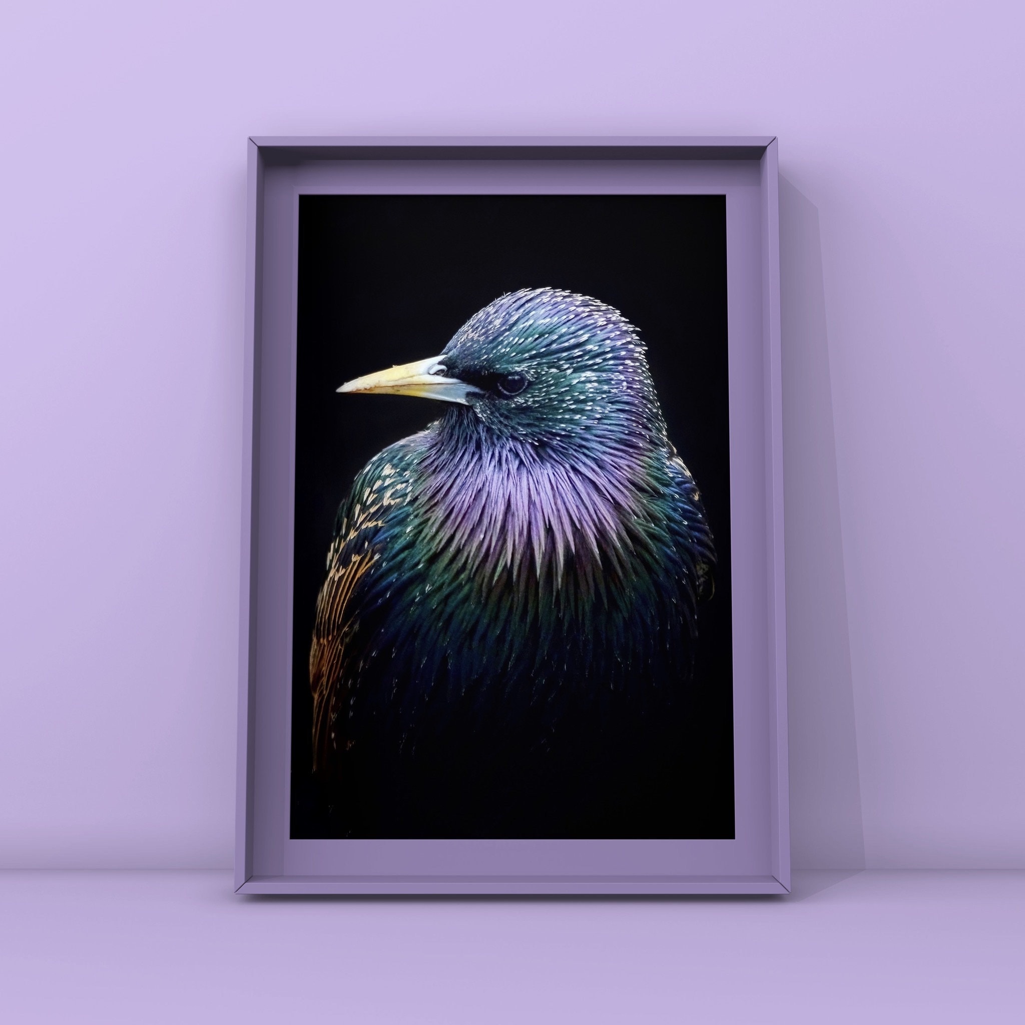 Starling Photograph - Starling - Bird Photos - Bird Prints - Wall Art ...