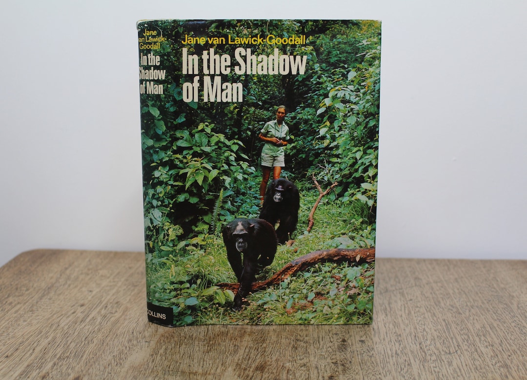 In the Shadow of Man by Jane Van Lawick-goodall - First Edition ...