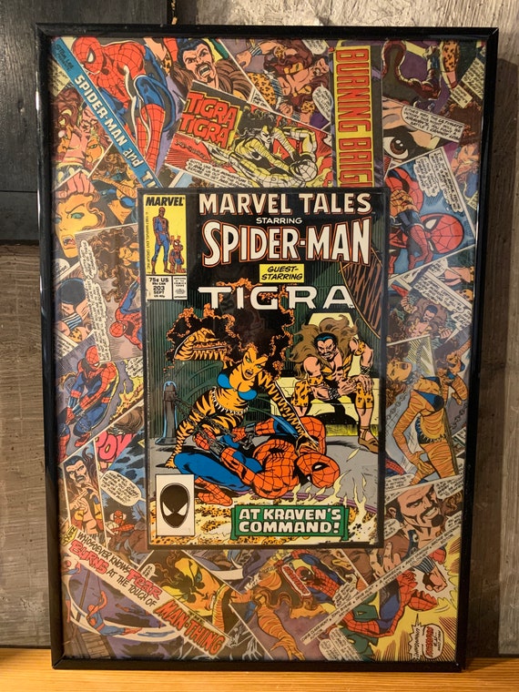 Marvel Tigra And Spiderman