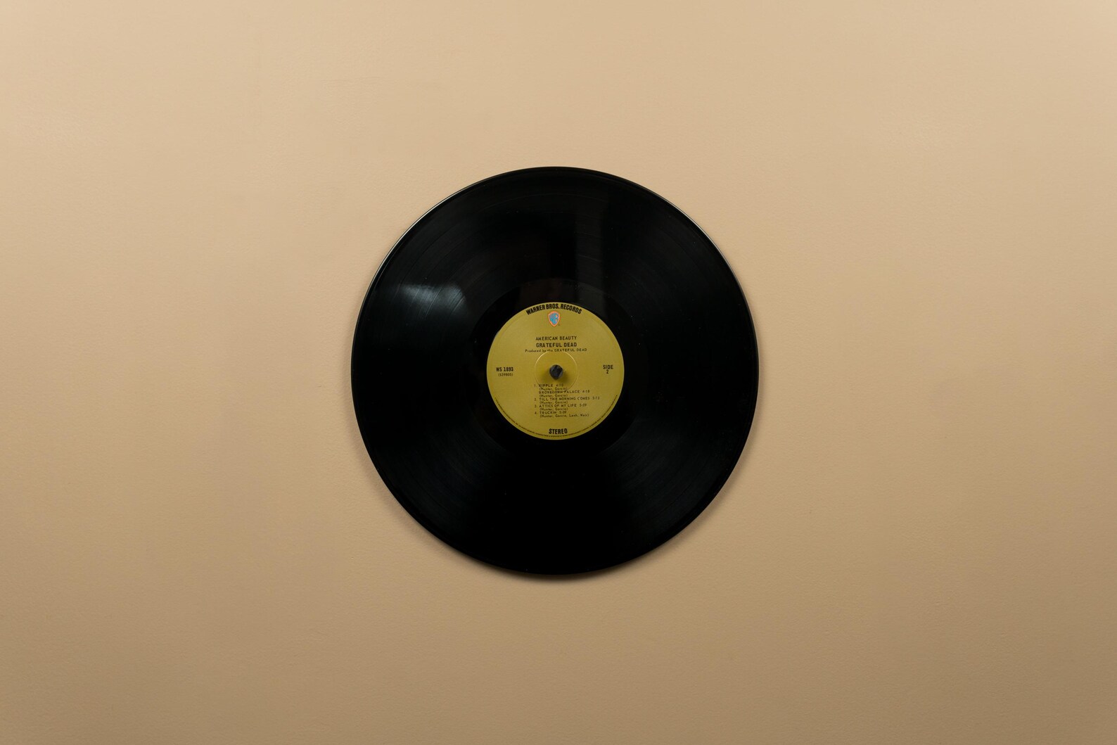Vinyl Record Disc Wall Mount | Floating LP Display | Minimalist Music ...