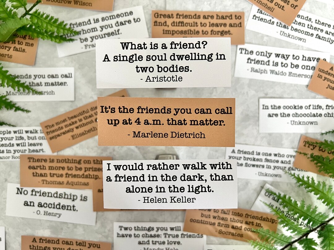Friendship Quotes, Friendship Phrases Inspired Word Sticker Pack for ...