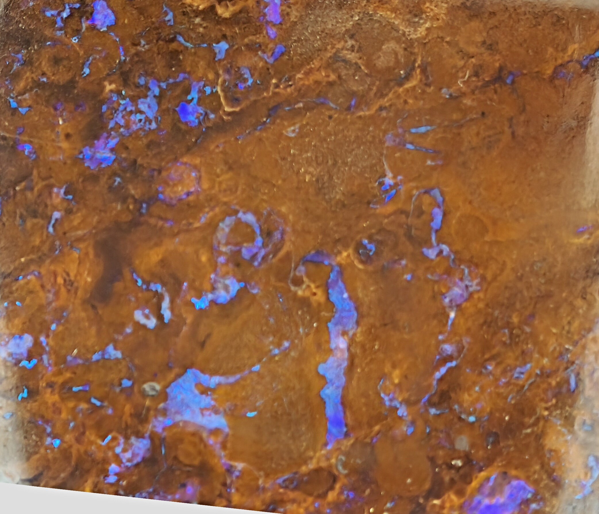 03782.0 Australian Boulder Opal Matrix Belt Buckle Specimen - Etsy