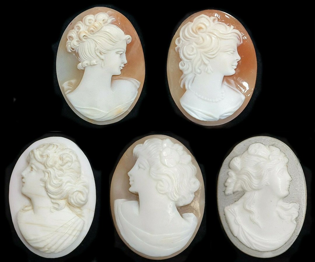 52268 - One Lot of 5 Shell Cameos 30 X 23 Mm - Etsy
