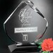 Crystal Apple Paperweight Award Custom Etched & Engraved - Etsy