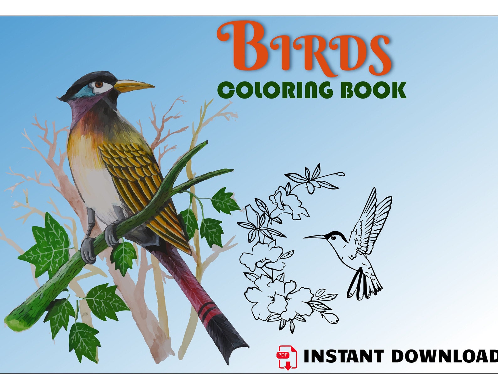 Birds coloring book printable coloring book instant | Etsy