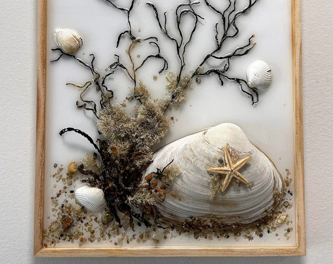 Seashell Art, 3D Resin Wall Art, 3D Beach Themed Wall Art, 3D Seashell ...