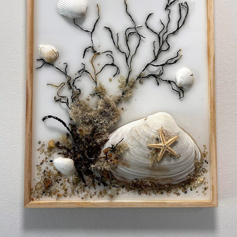 Seashell Art - Etsy