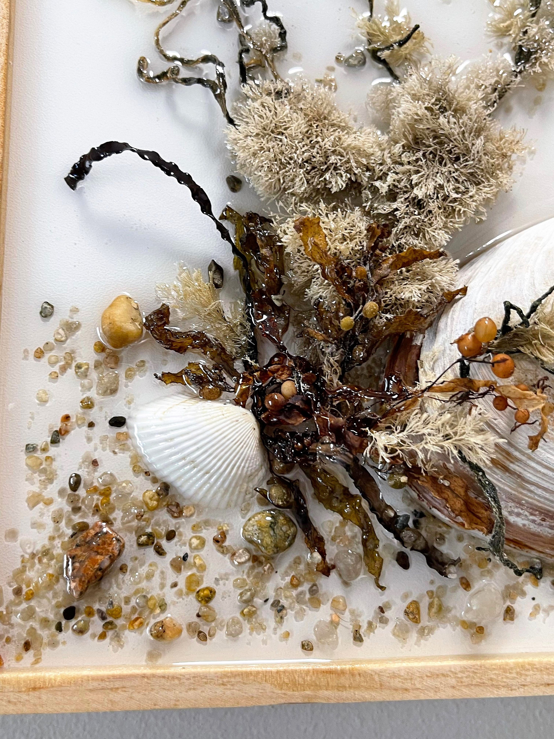 Seashell Art 3D Resin Wall Art 3D Beach Themed Wall Art 3D - Etsy