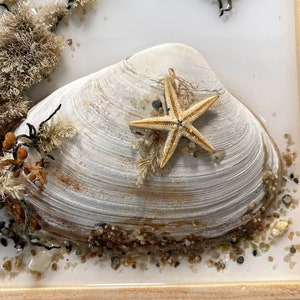 Seashell Art, 3D Resin Wall Art, 3D Beach Themed Wall Art, 3D Seashell ...