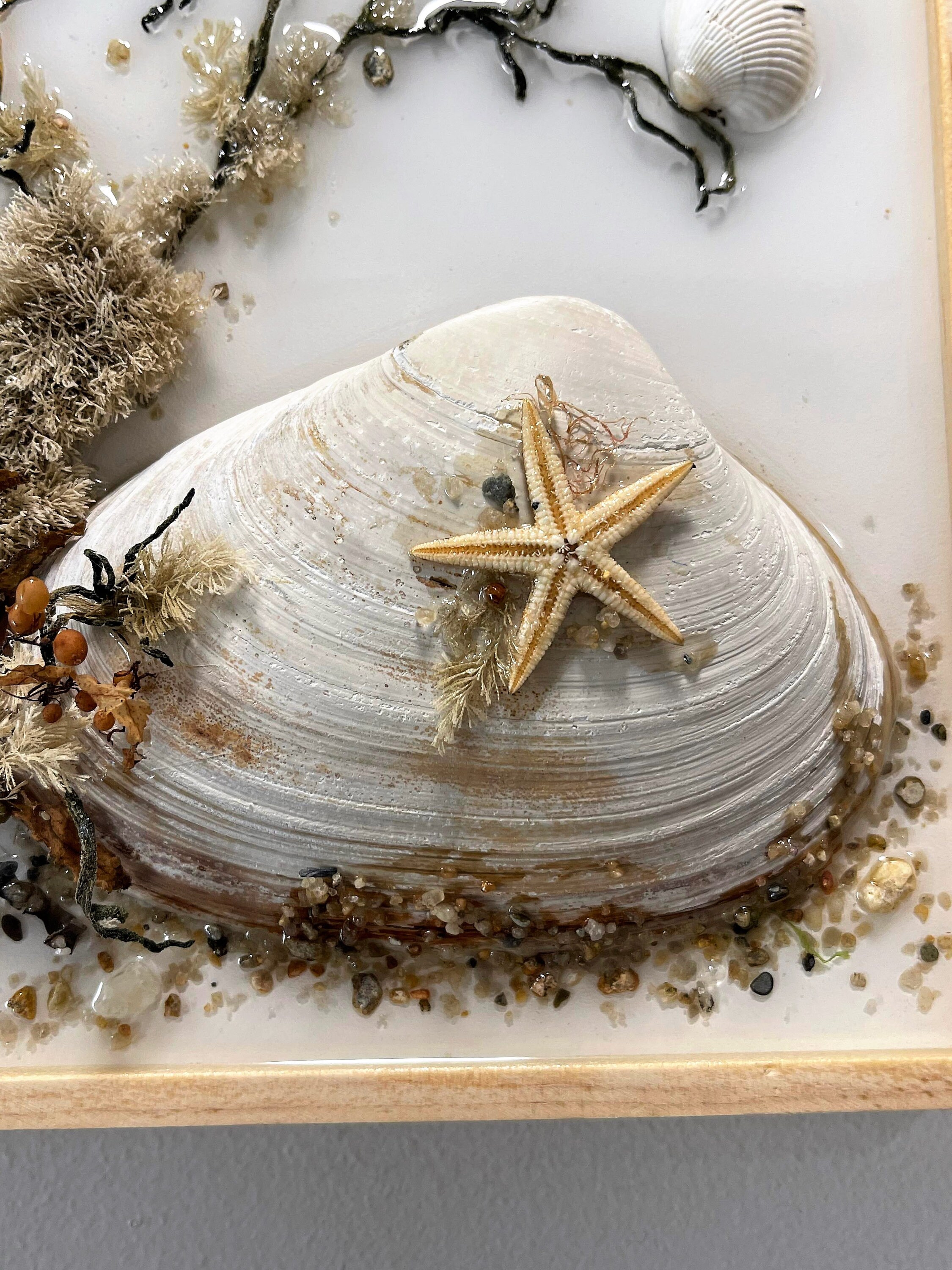 Seashell Art 3D Resin Wall Art 3D Beach Themed Wall Art 3D - Etsy