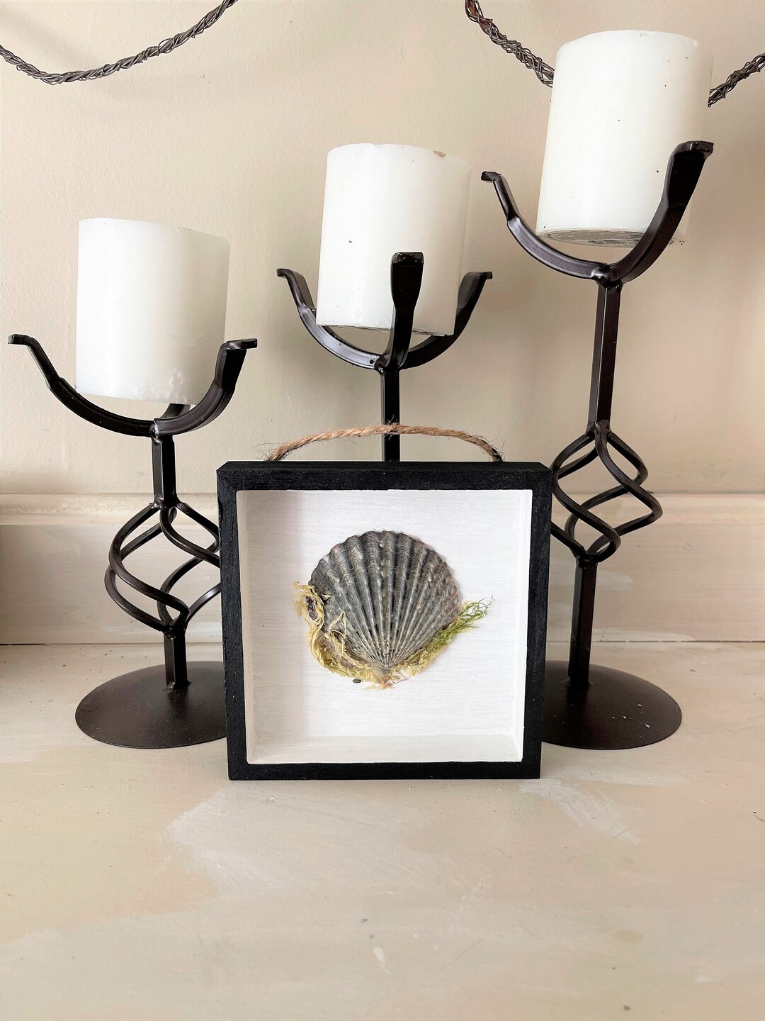 Seashell Shadow Box Art, Cape Cod Seaweed, Coastal Decor - Etsy