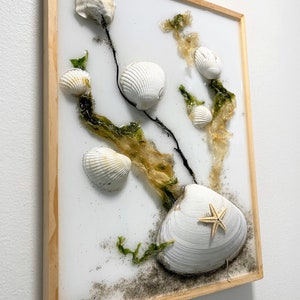 Seashell Art, 3D Resin Wall Art, 3D Beach Themed Wall Art, 3D Seashell ...