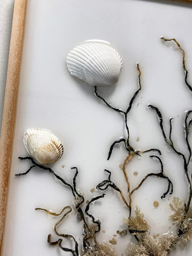 Seashell Art 3D Resin Wall Art 3D Beach Themed Wall Art 3D - Etsy