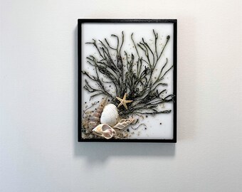 Seashell Art, 3D Resin Wall Art, 3D Beach Themed Wall Art, 3D Seashell ...