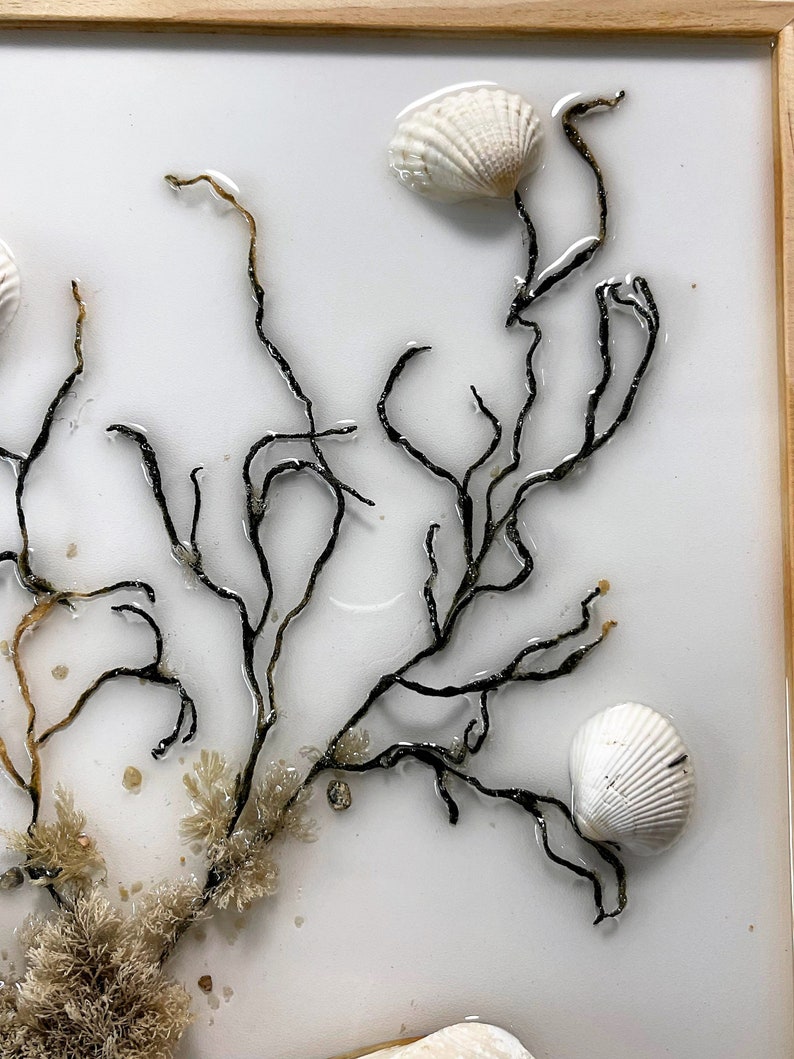 Seashell Art 3D Resin Wall Art 3D Beach Themed Wall Art 3D - Etsy