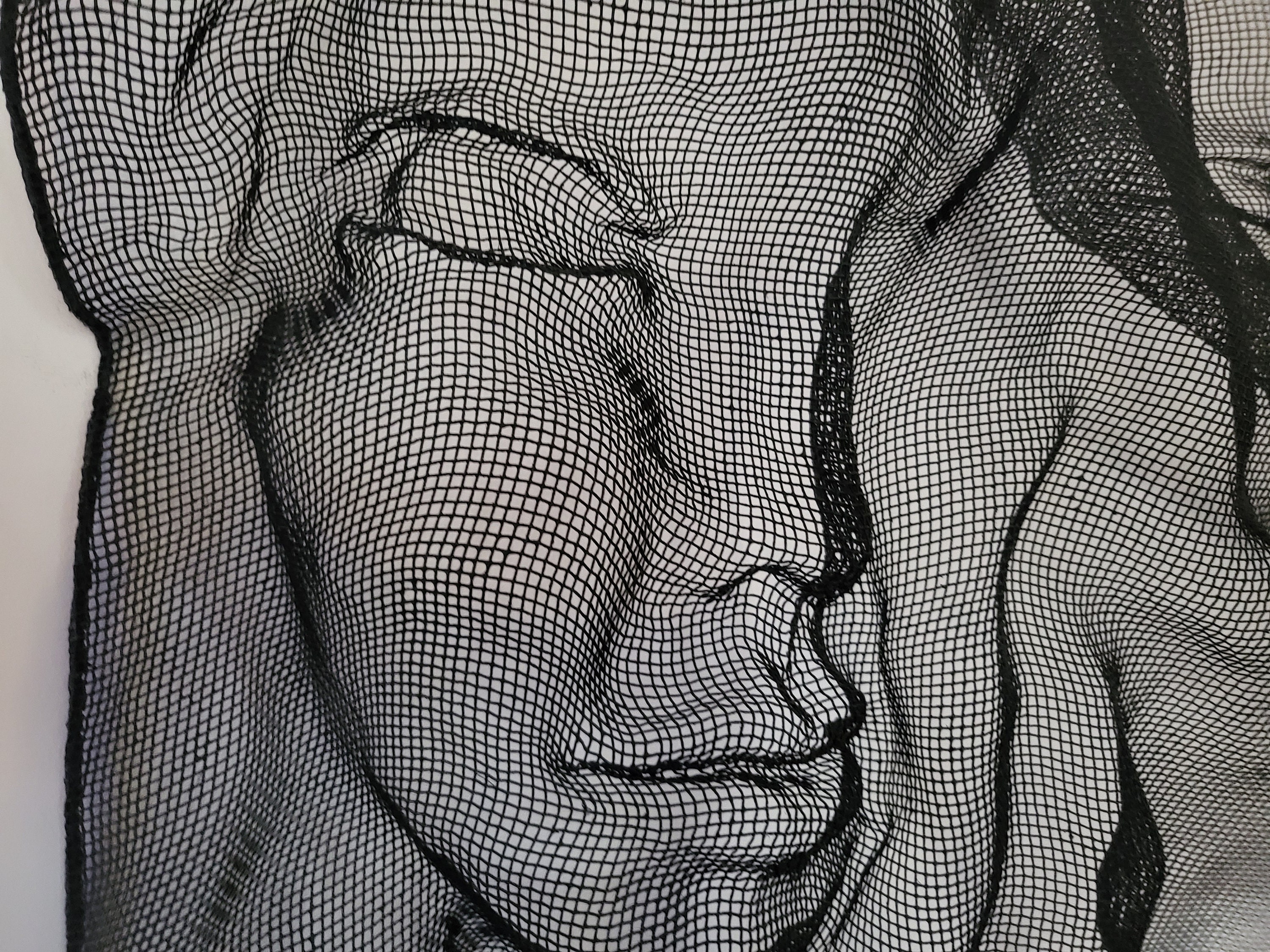3D Wire Face Sculpture, Iron Mesh Wall Art, Lovely Metal Mask, Perfect ...