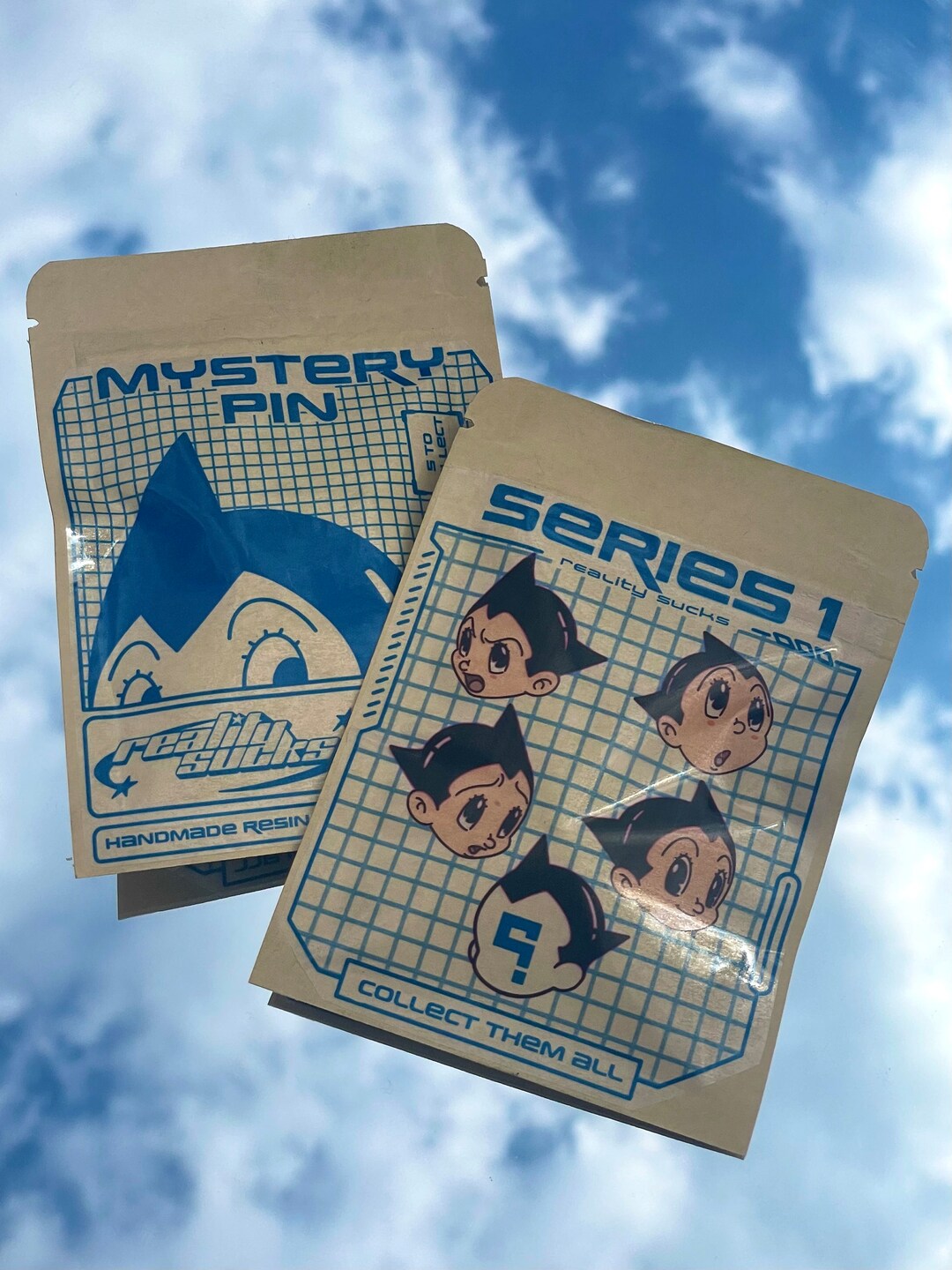 Mystery Pin Series 1 - Etsy