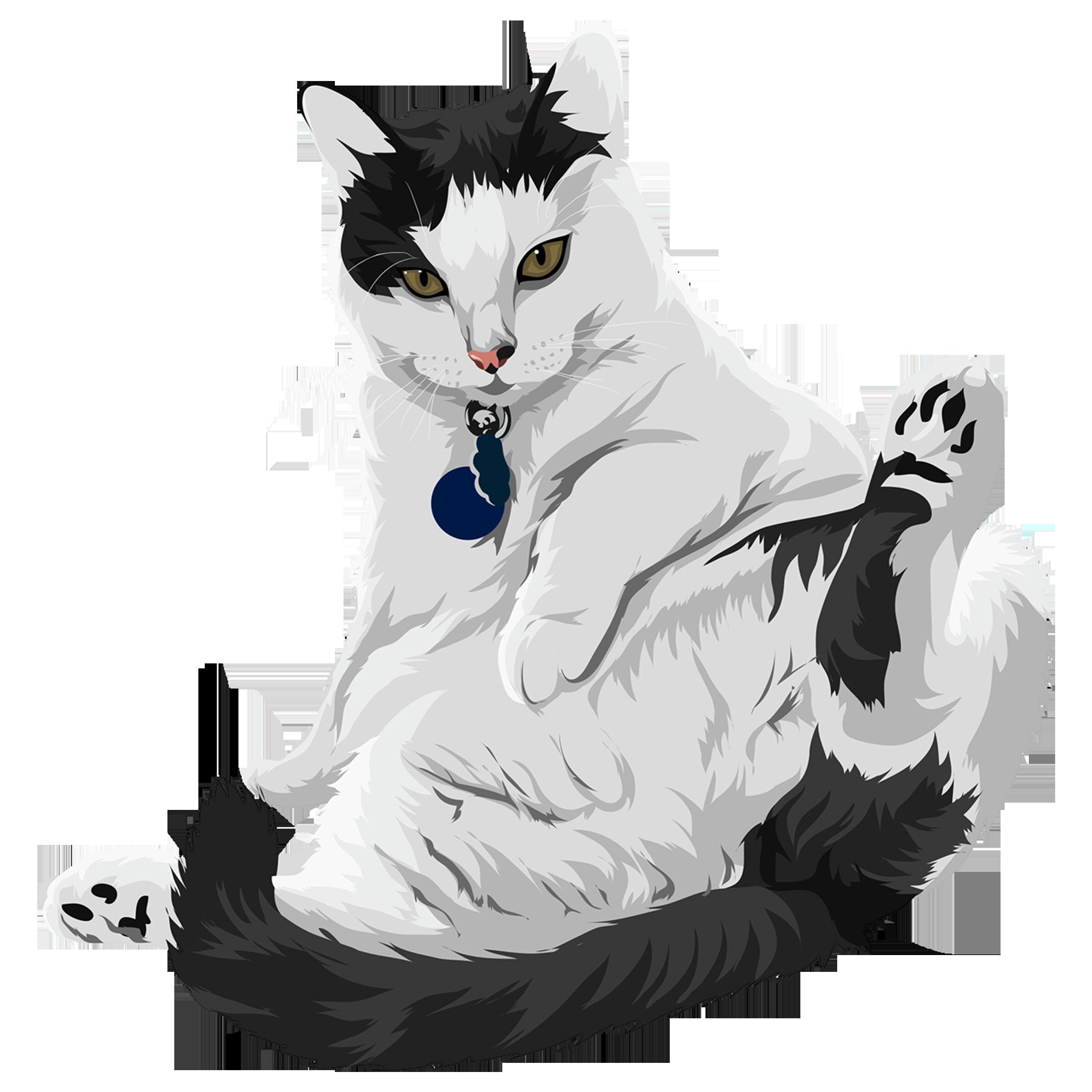 Cat Digital Printable Image - Etsy