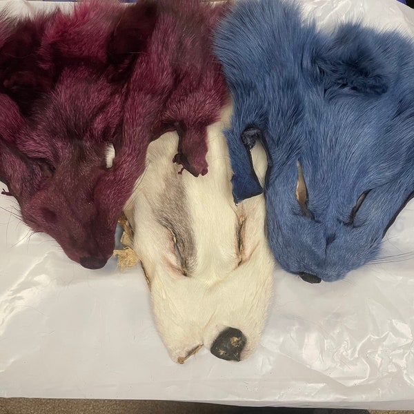 Real Fox Faces - Etsy