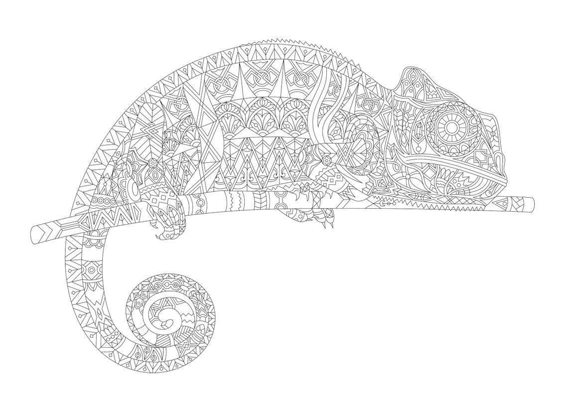 Lizard Mandala Coloring Page | Intricate Design for Adults | Digital ...