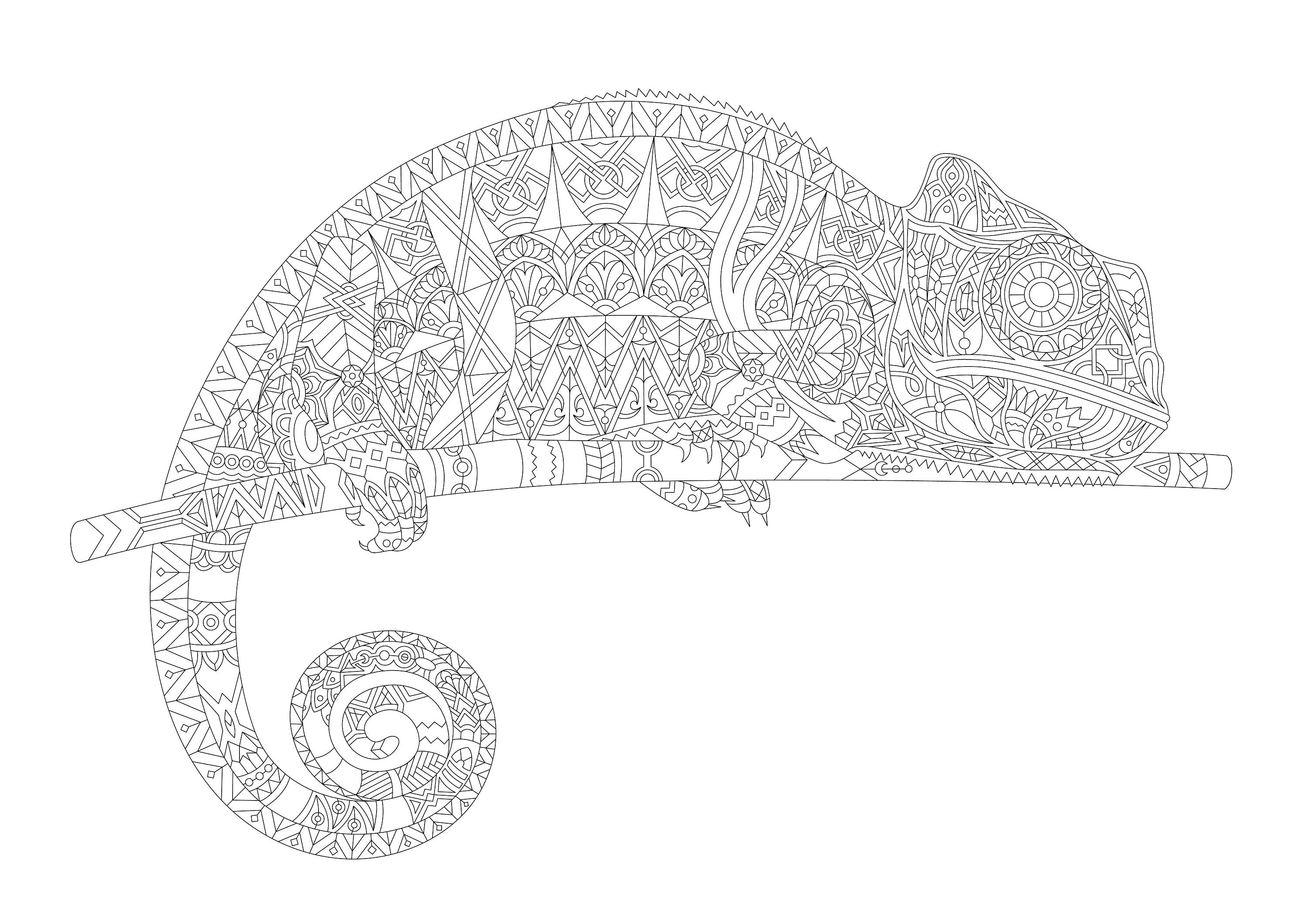 Lizard Mandala Coloring Page | Intricate Design for Adults | Digital ...