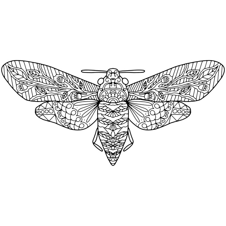 Digital Printable Beautiful Insects Coloring Mandala Pages - Etsy