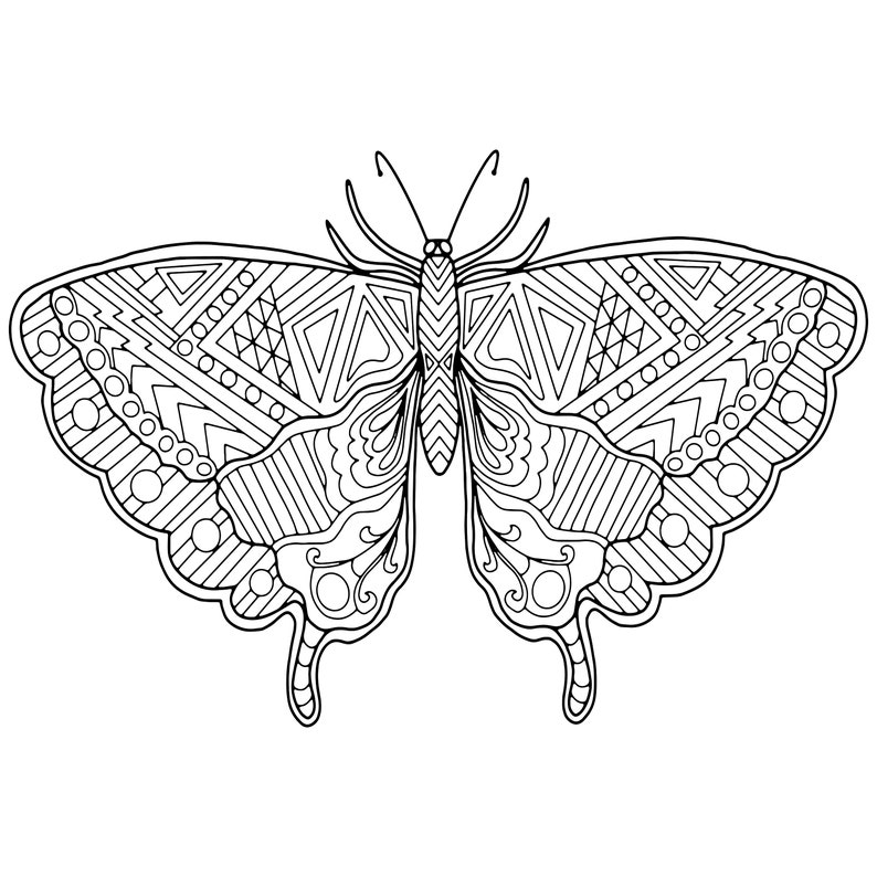 Digital Printable Beautiful Insects Coloring Mandala Pages - Etsy