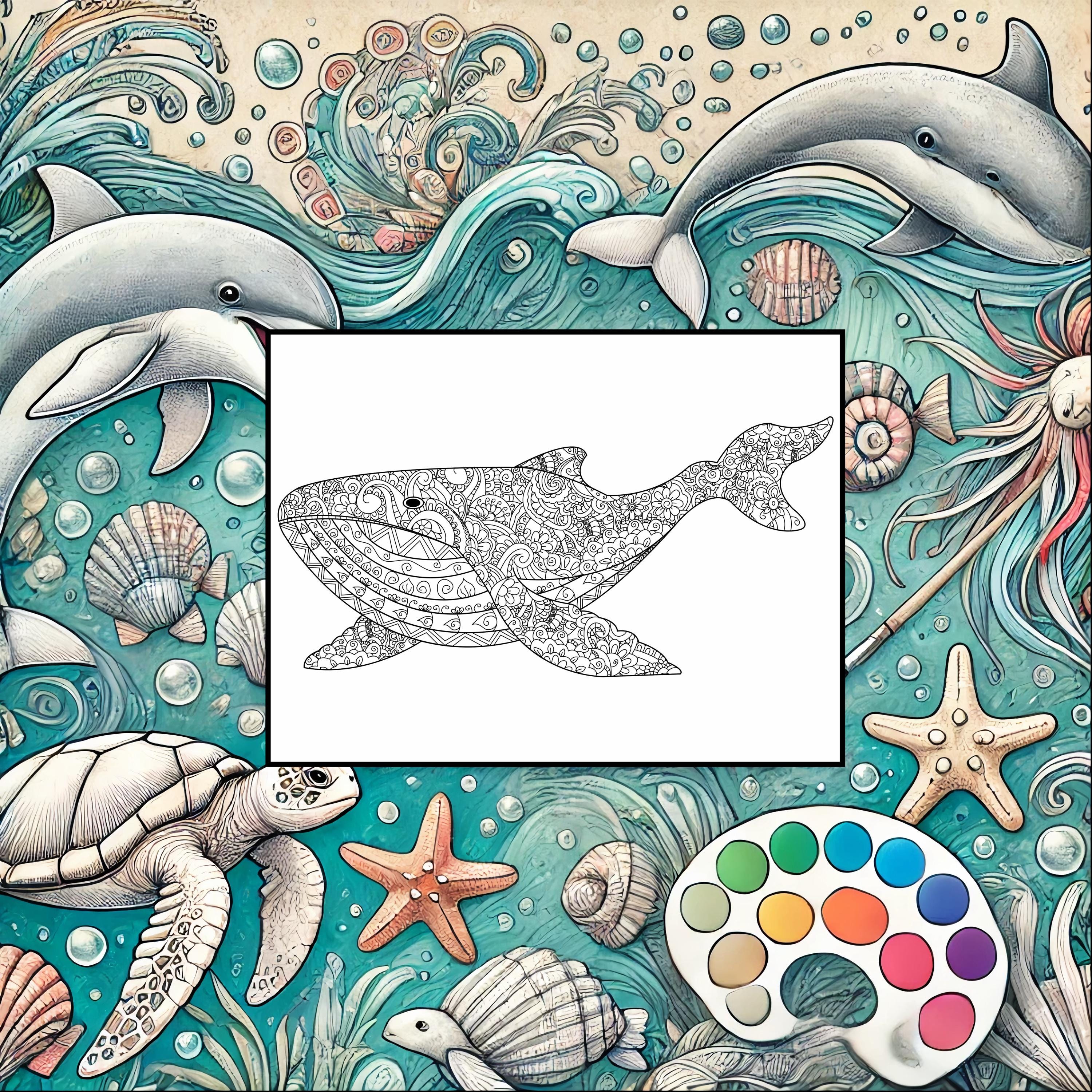 Whale Coloring Page | Digital Printable Medium Difficulty Art for Kids ...