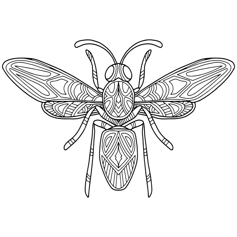 Digital Printable Beautiful Insects Coloring Mandala Pages - Etsy