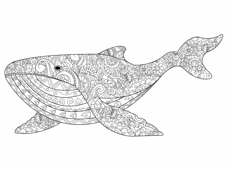 Whale Coloring Page | Digital Printable Medium Difficulty Art for Kids ...
