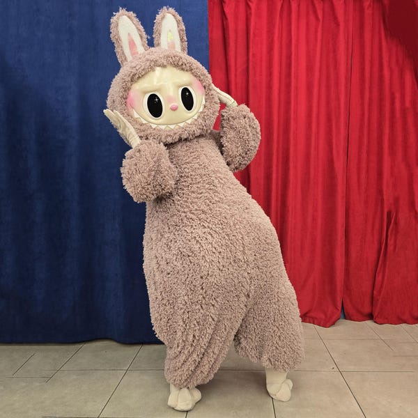 Labubu Costume Human - Etsy