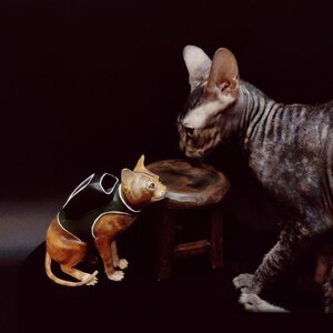 Stray the Cat 12 Cm Figure 3D Print Fan Art - Etsy